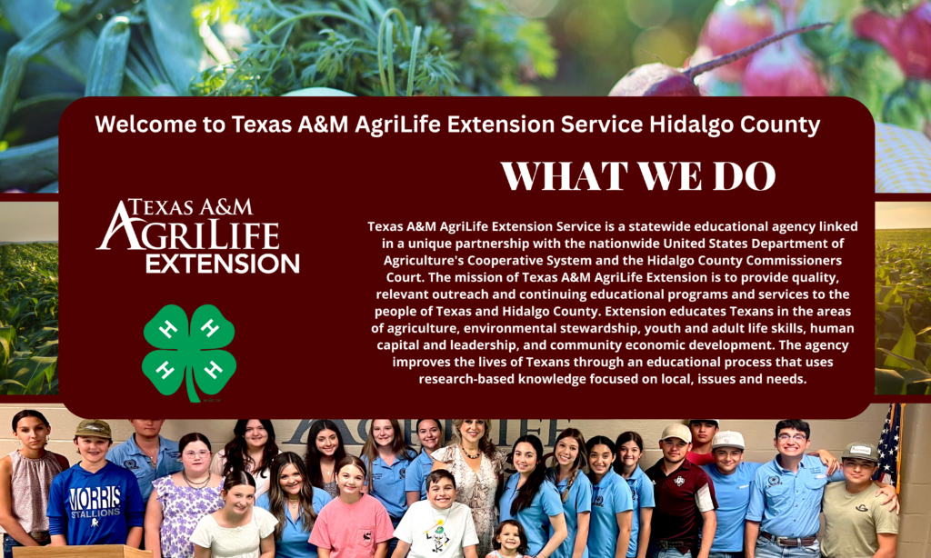 Welcome to Texas A&M AgriLife Extension Service Hidalgo County - Hidalgo